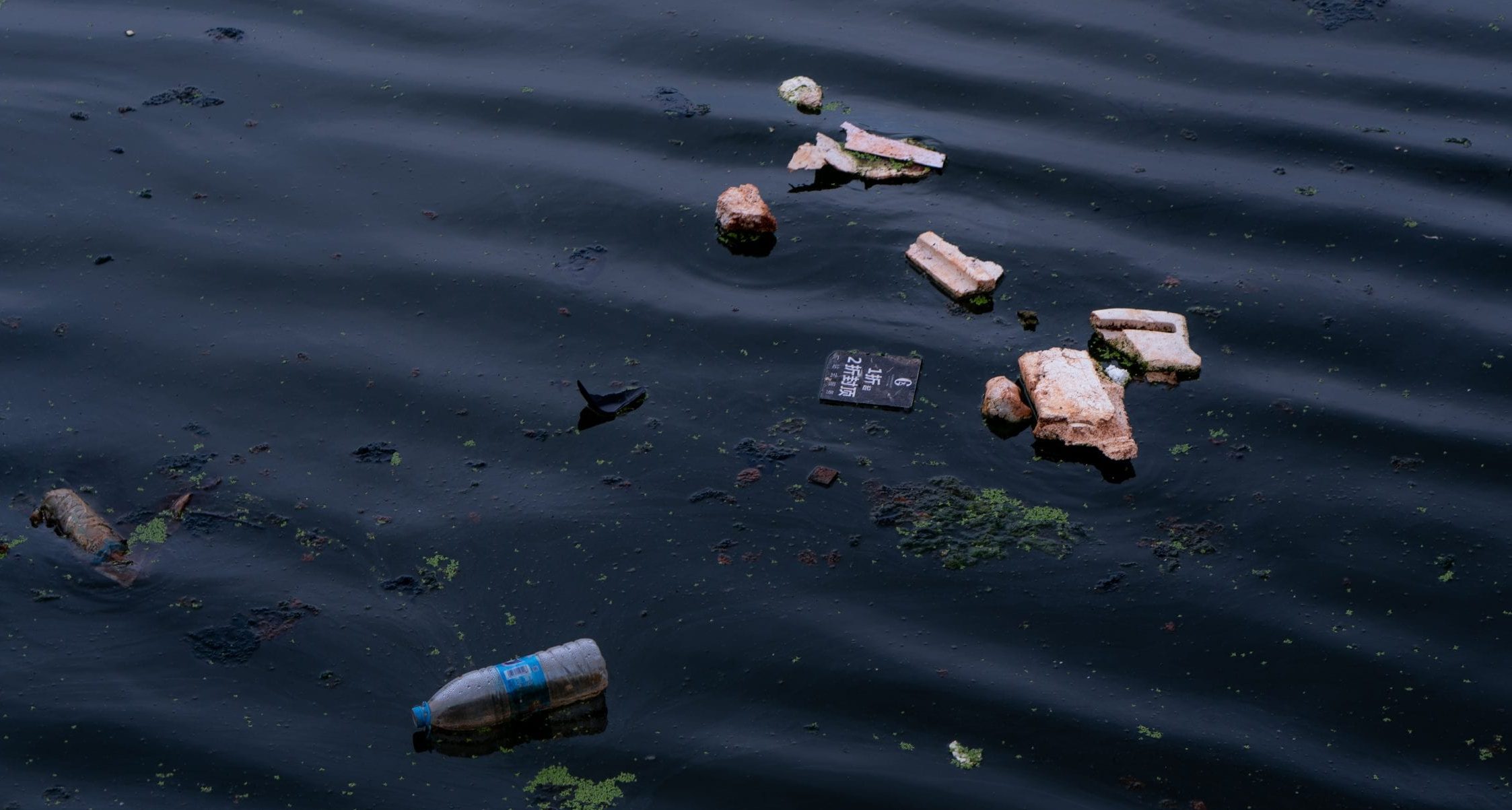 Corporate Pollution - One World Education