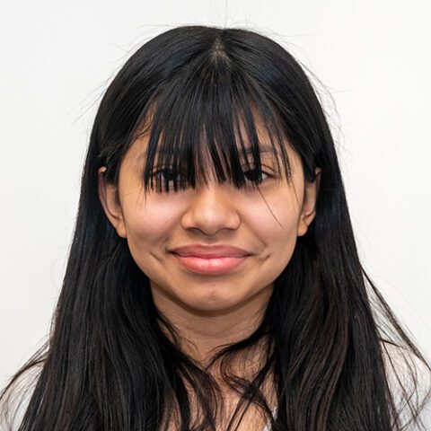 Plastic Pollution Affects Marine Life - One World Education